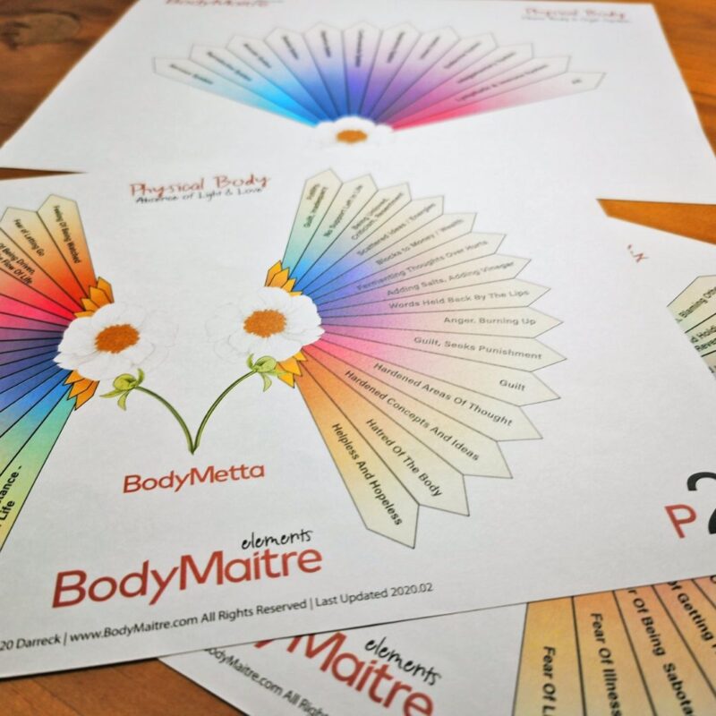 BodyMaitre Online Training & Course (With Private Coaching) - BodyMaitre